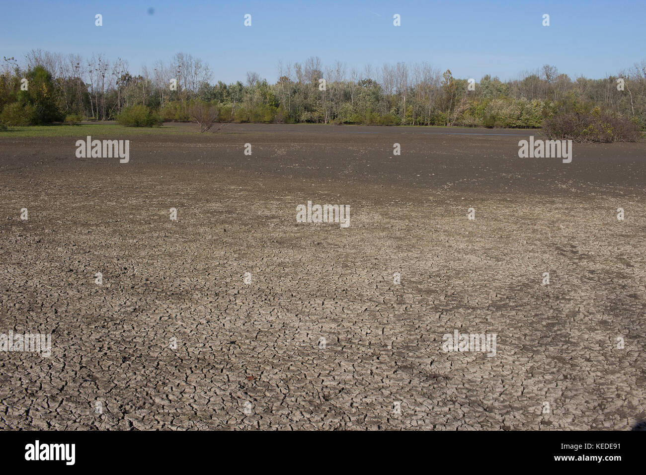 Dried up dirt from a drained wetland area Stock Photo - Alamy