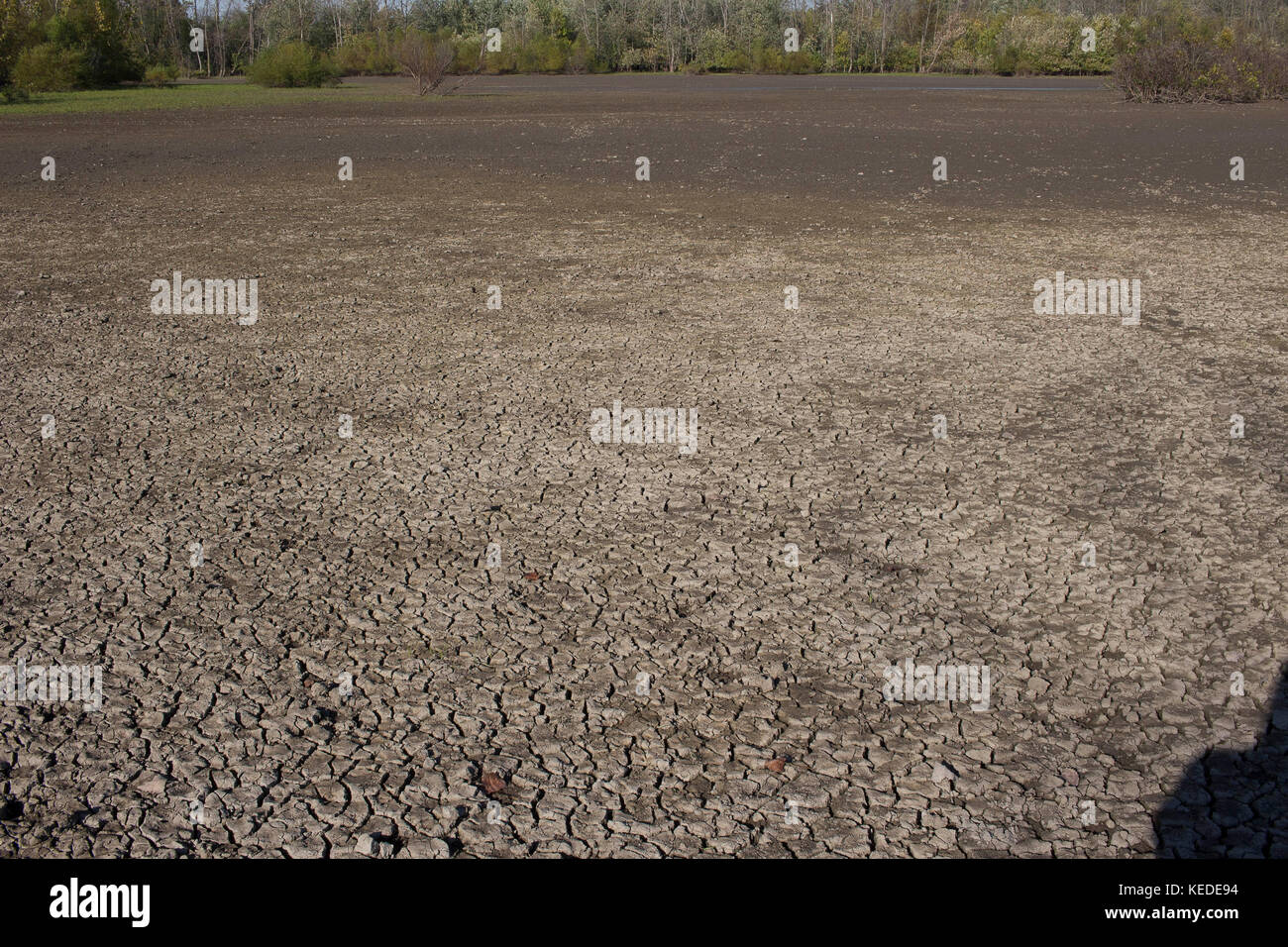 Dried up dirt from a drained wetland area Stock Photo - Alamy