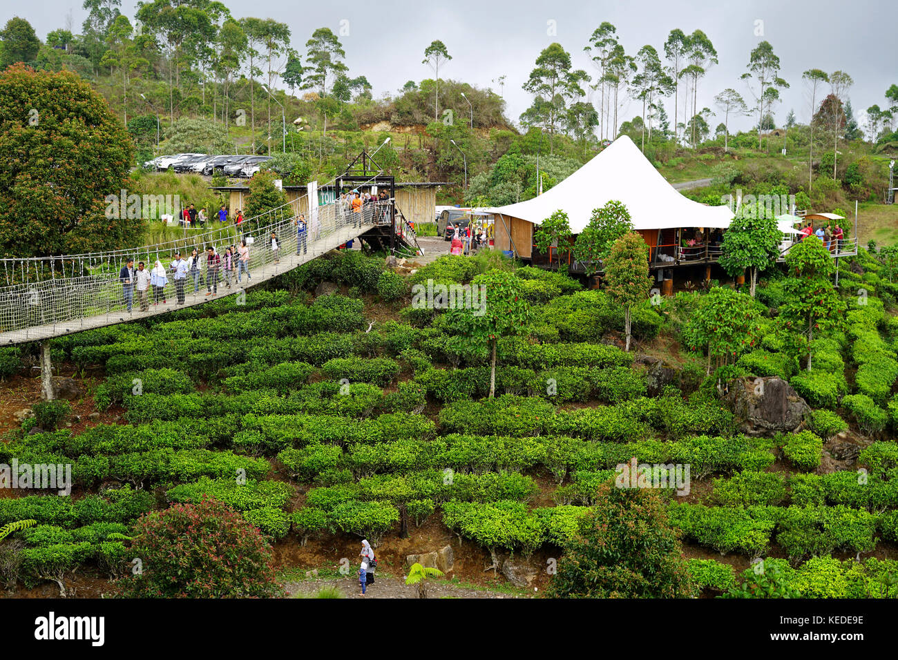 Glamping Lakeside, Rancabali, Ciwidey, Bandung, West Java, Indonesia ...