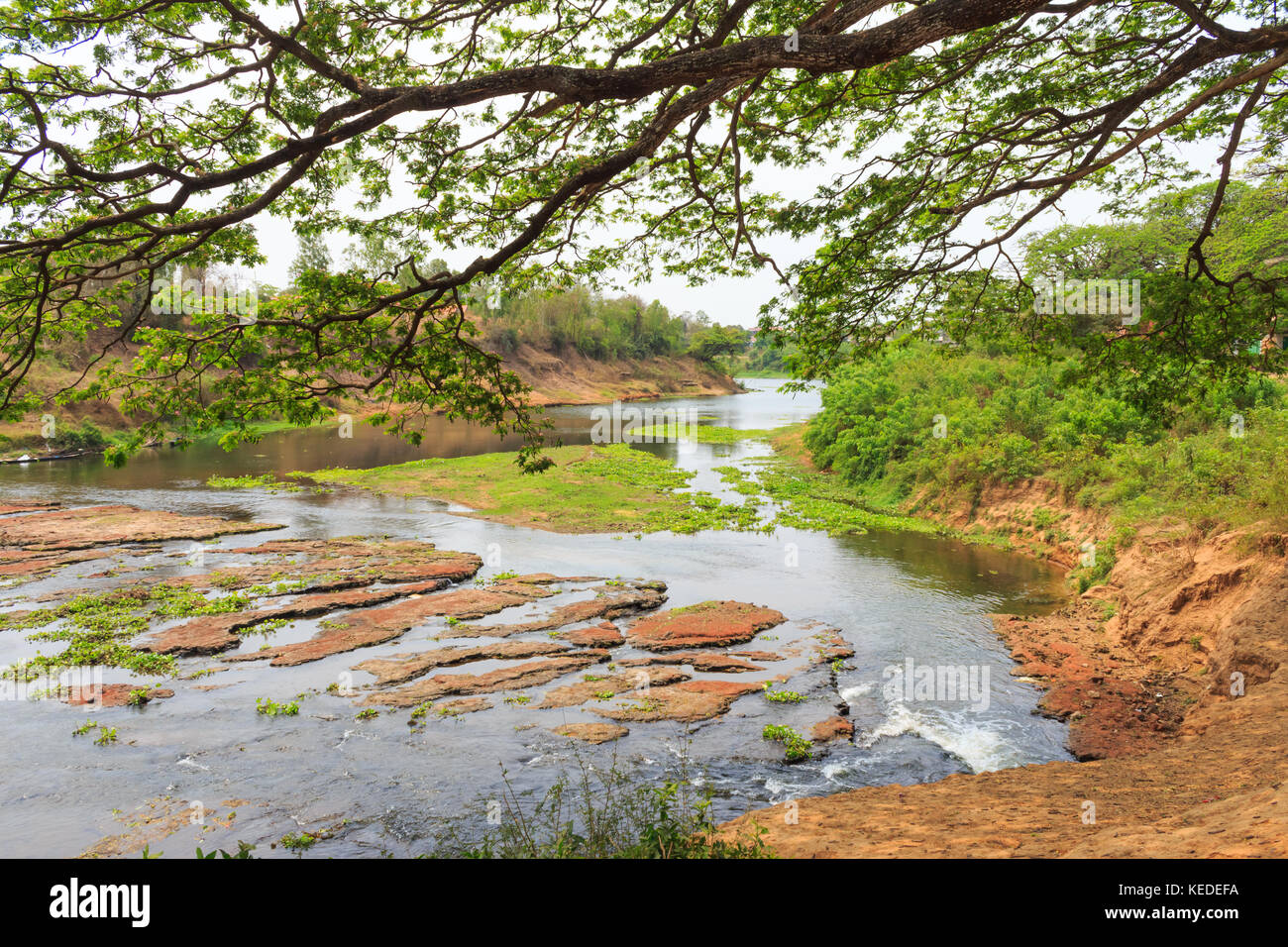 water dried up in a forest Stock Photo - Alamy