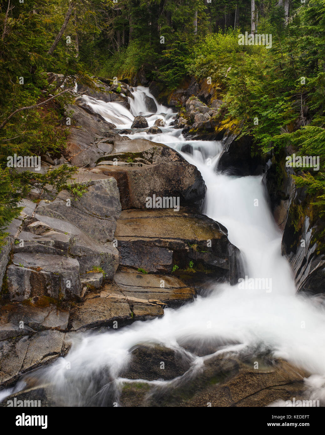 A fast moving mountain stream in Mount Rainier National Park Stock ...