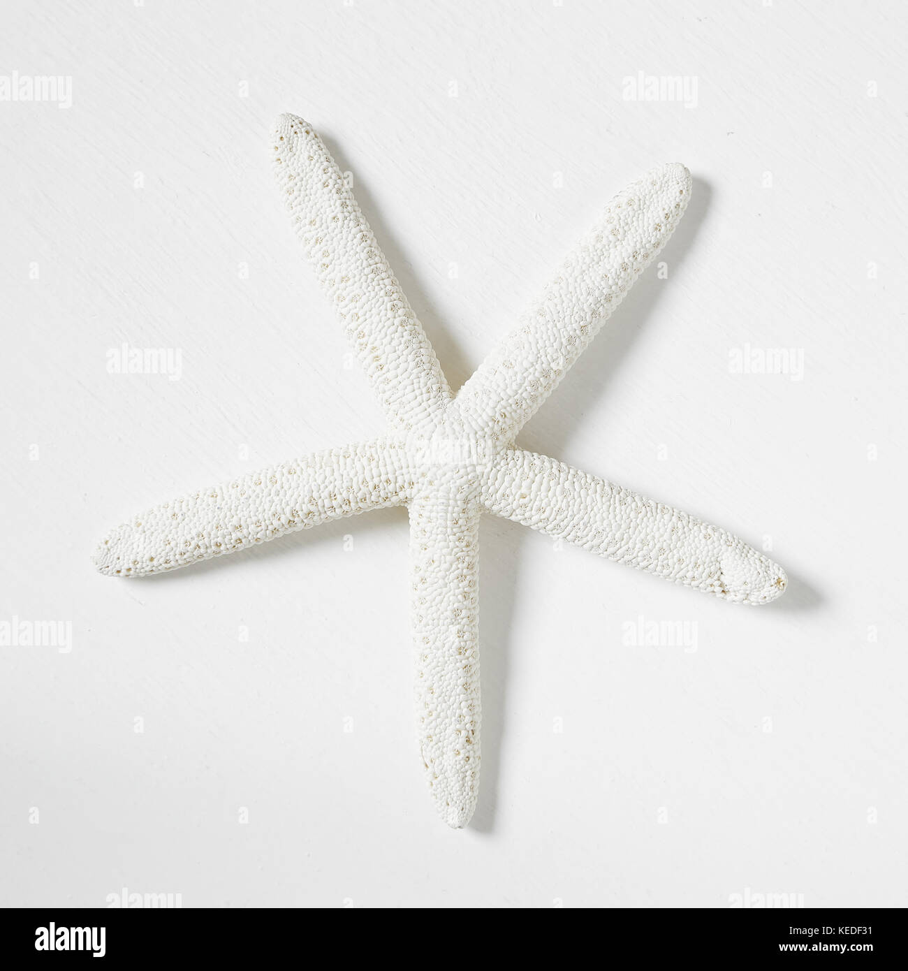 starfish isolated on white background Stock Photo - Alamy