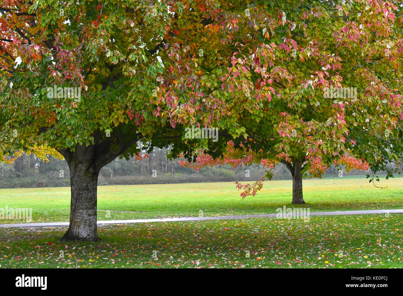 Ferndale Washington High Resolution Stock Photography and Images - Alamy