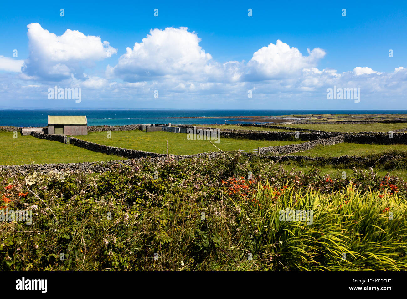 Landscape of Inish more the main Aran island Stock Photo - Alamy