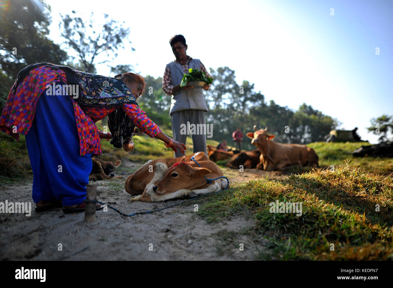 Tihar food hi-res stock photography and images - Alamy