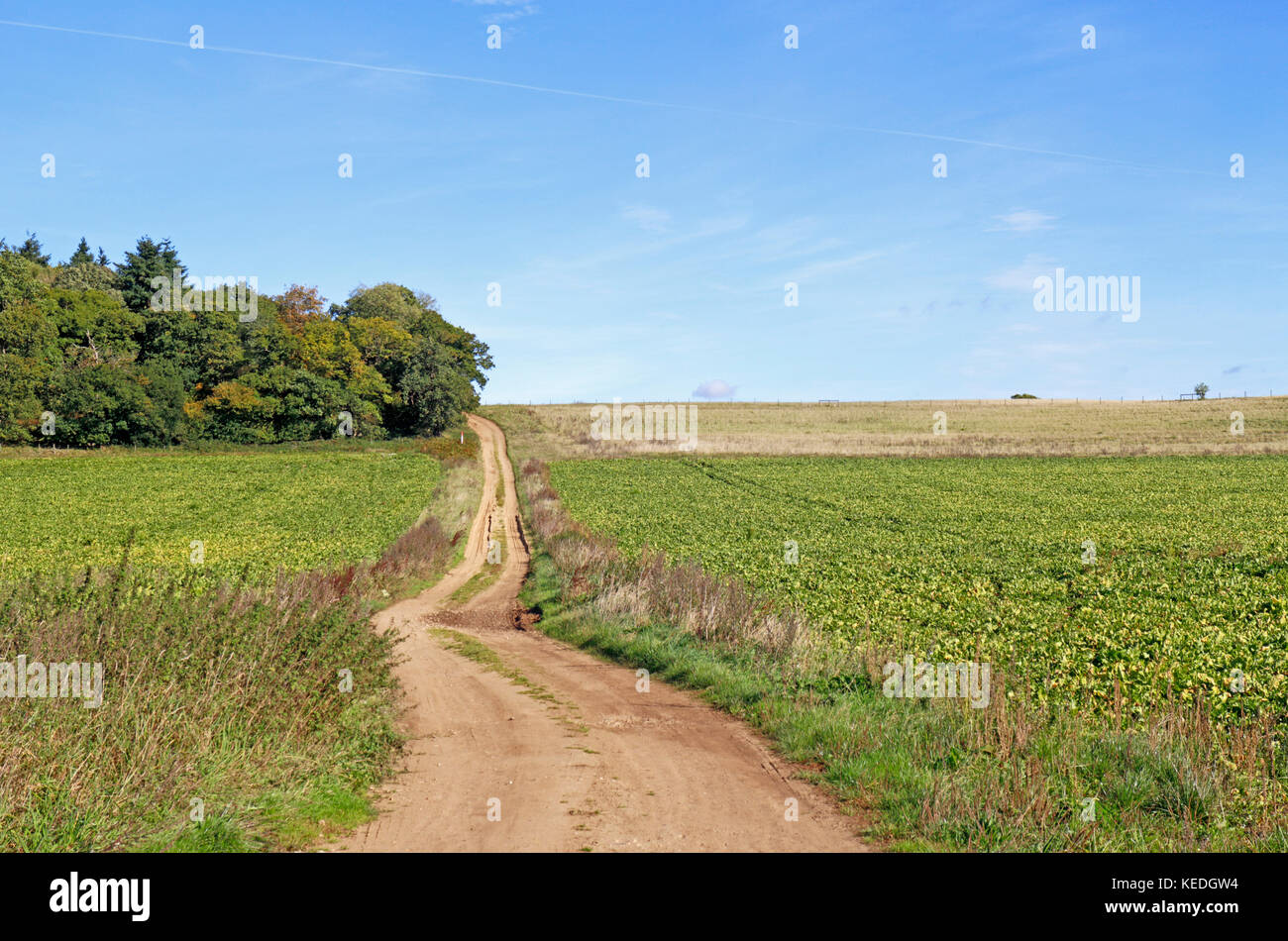 Ringland hills hi-res stock photography and images - Alamy