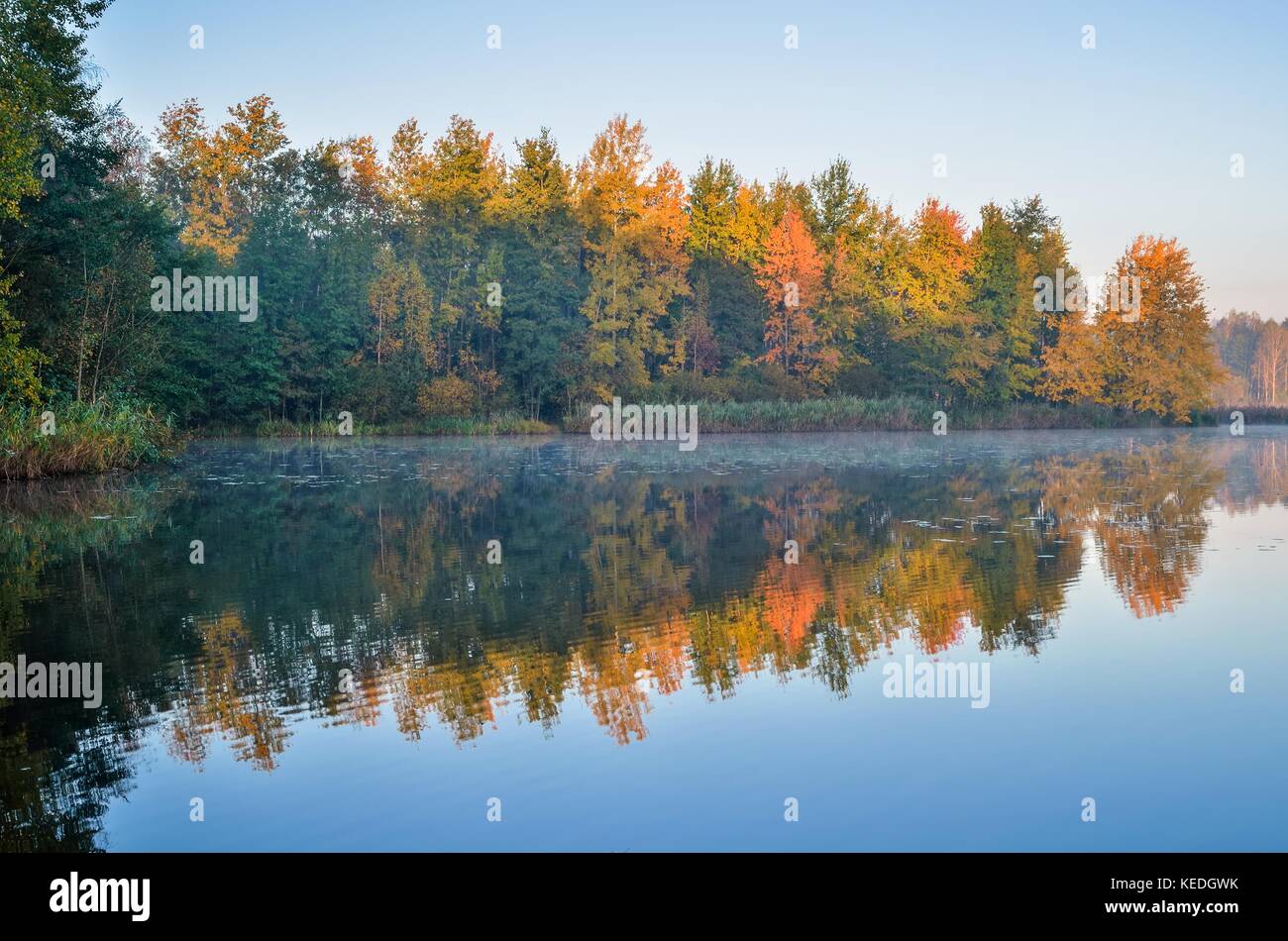 Beautiful autumn landscape. Colorful trees by the lake Stock Photo - Alamy