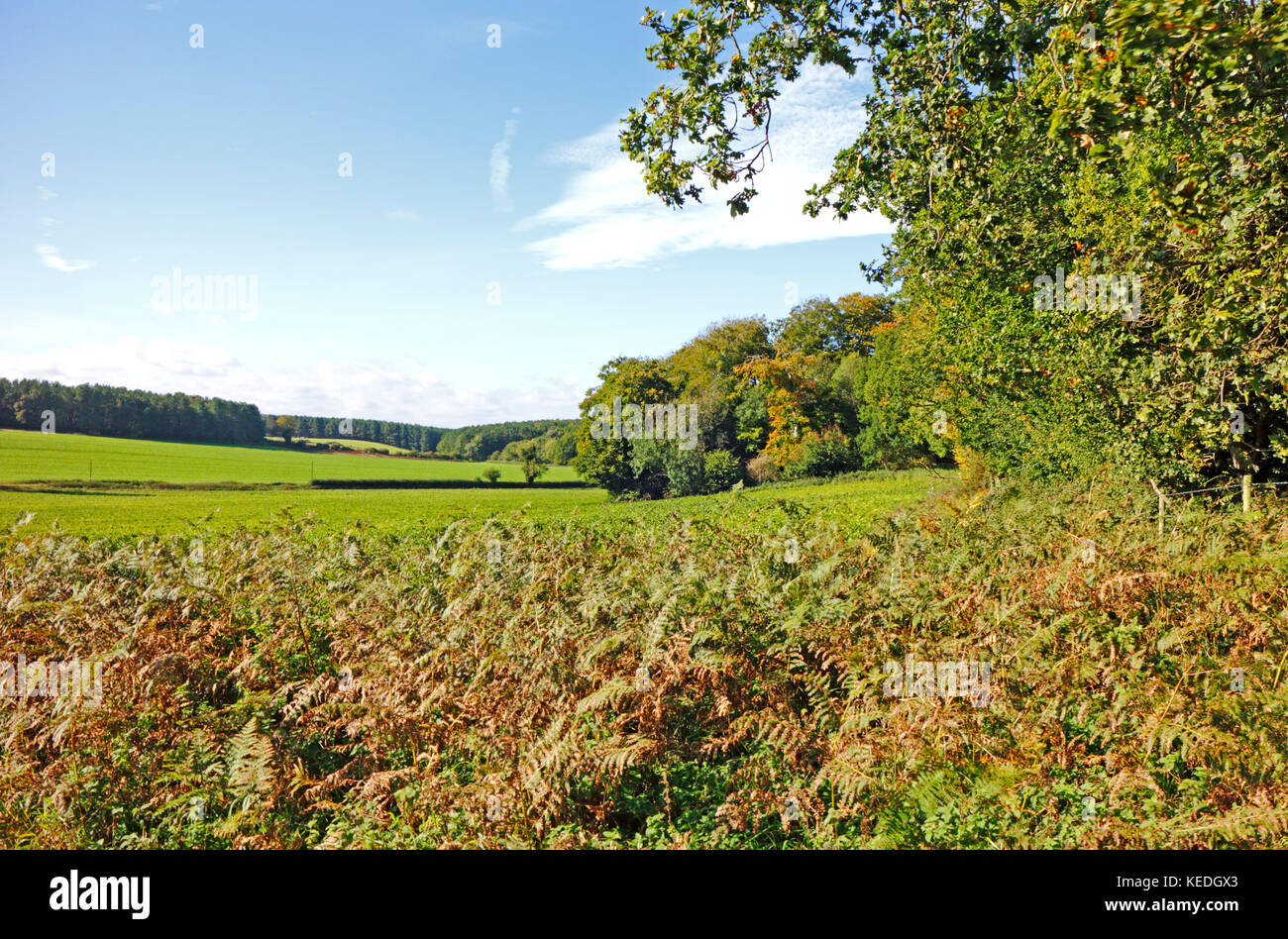 Ringland hills hi-res stock photography and images - Alamy