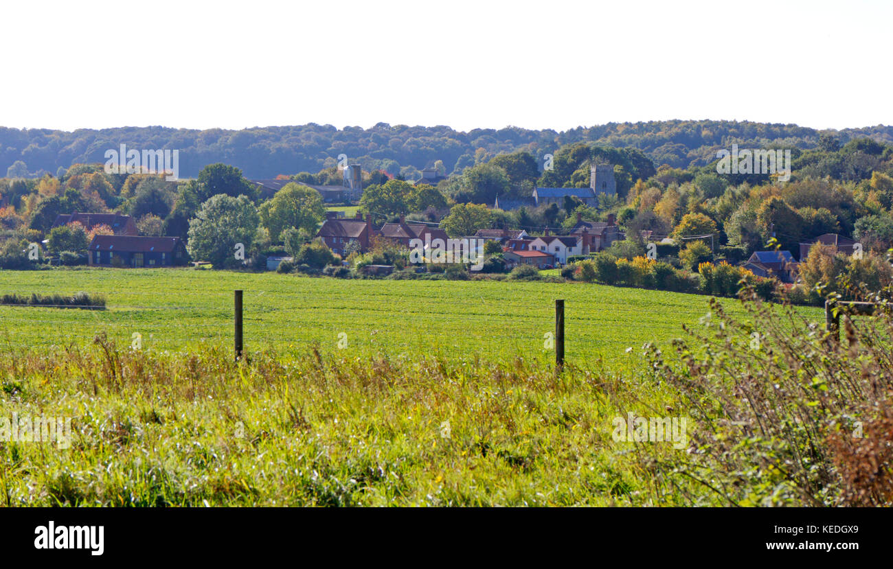 Woodlands in norfolk uk hi-res stock photography and images - Alamy