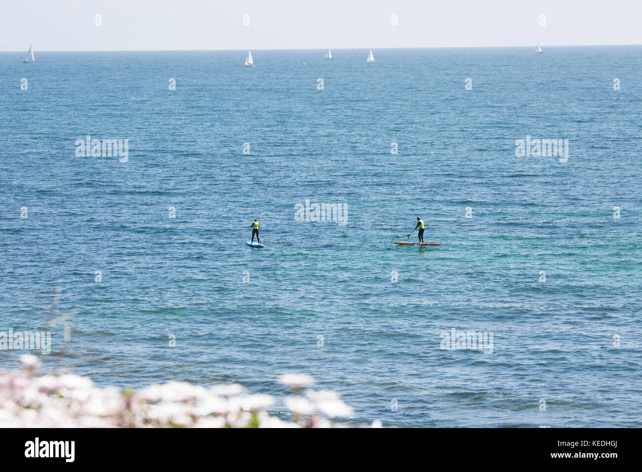 stand up paddle boarders in sea UK Stock Photo - Alamy