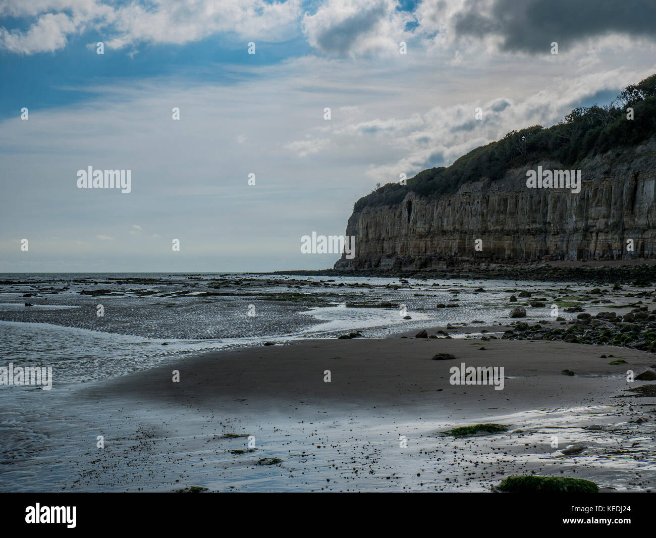 Pett level beach hi-res stock photography and images - Alamy