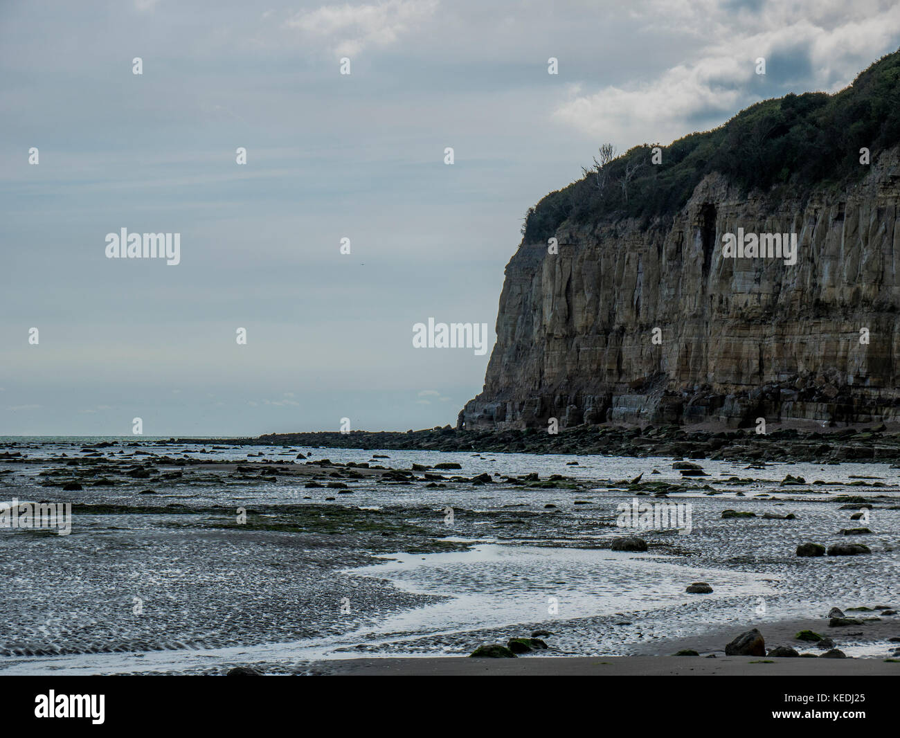 Pett level hi-res stock photography and images - Alamy