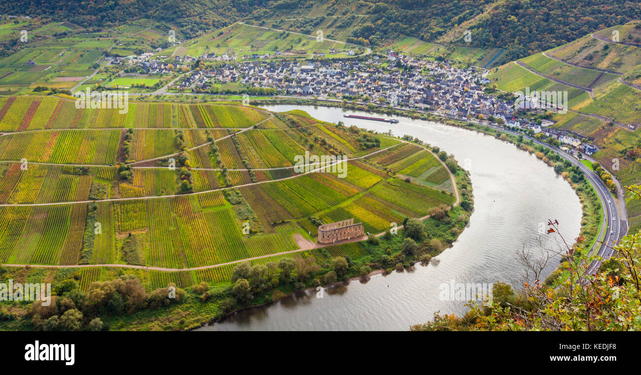 Autumnal Moselle and vinyards landscape at Bremm Calmont region Germany ...