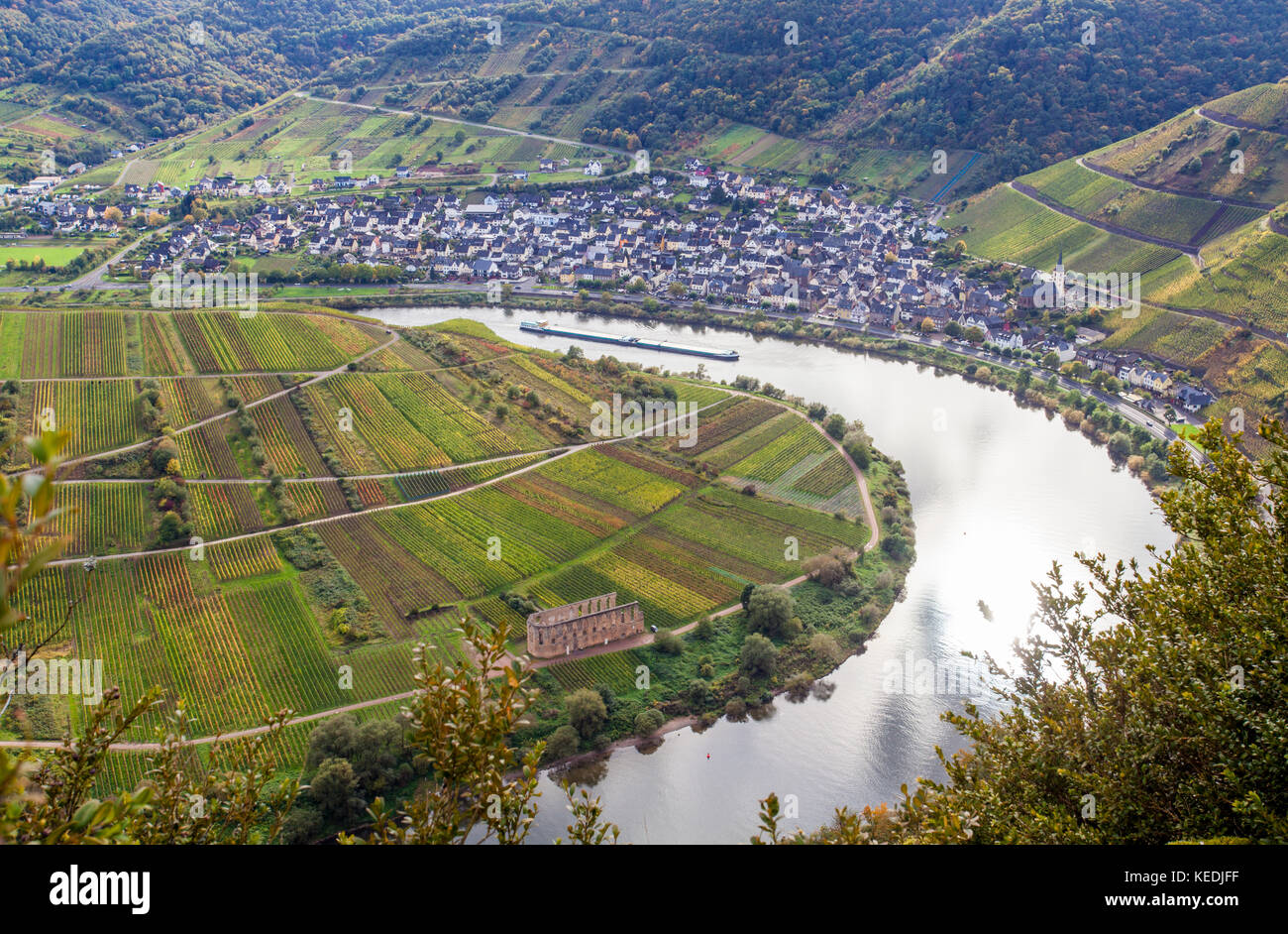 Autumnal Moselle and vinyards landscape at Bremm Calmont region Germany ...