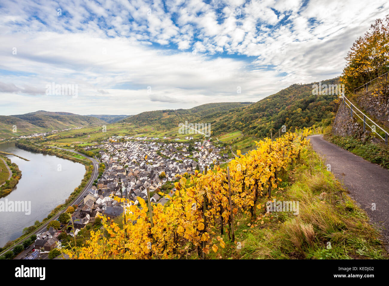 Autumnal Moselle and vinyards landscape at Bremm Calmont region Germany ...