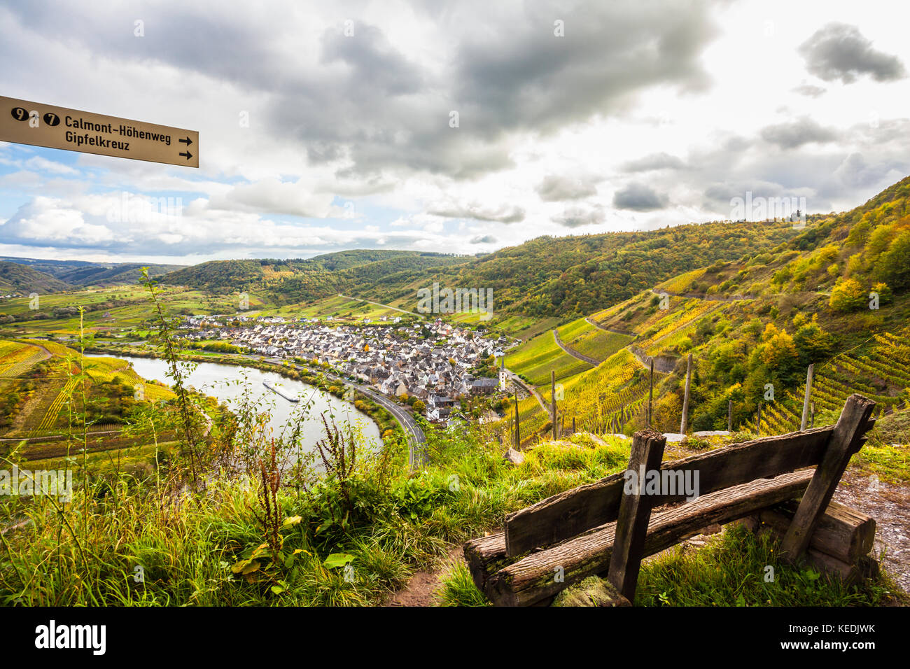 Moselle Autumn golden vineyards Landscape view from Calmont ...
