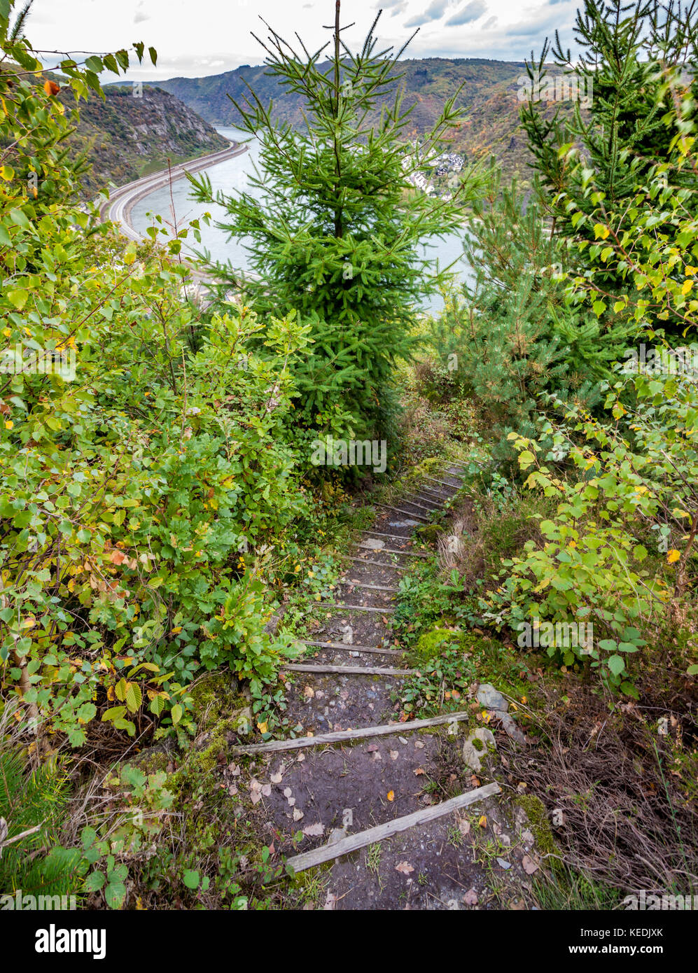 Rhine hiking trali Traumschleife Rheingold pathway Landscape nature ...
