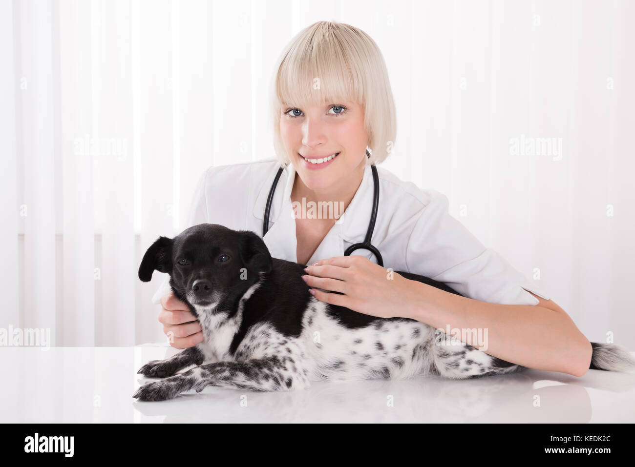 Beautiful young female professional vet hi-res stock photography and ...