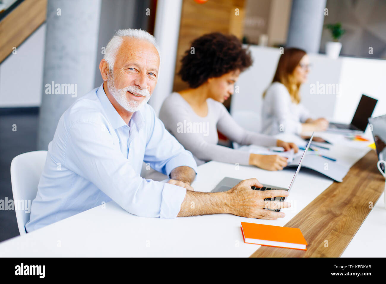 Senior businessman and young businesswoman working together in office ...