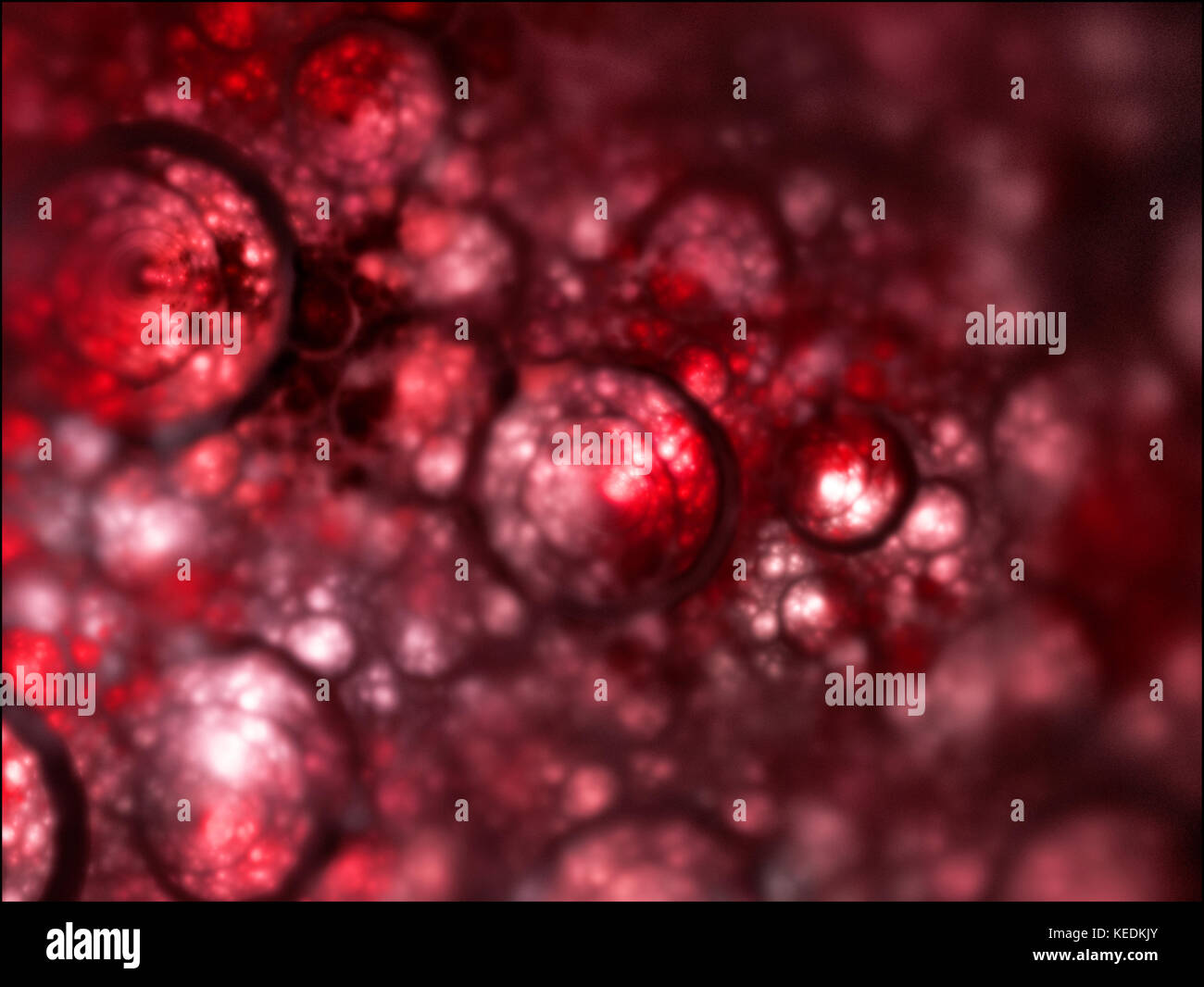 An imaginary view of the scenery inside someone else's dream Stock ...