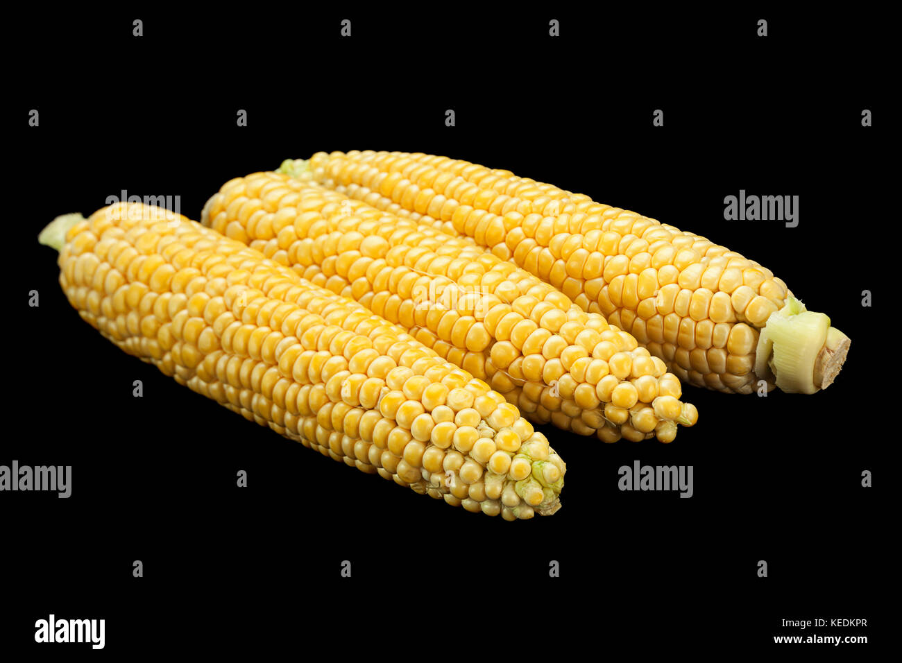 Raw sweet corn isolated on black background Stock Photo - Alamy