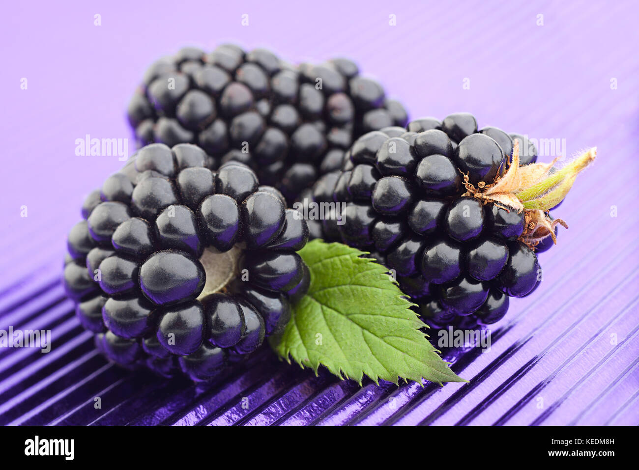 Blackberry fruit hi-res stock photography and images - Alamy