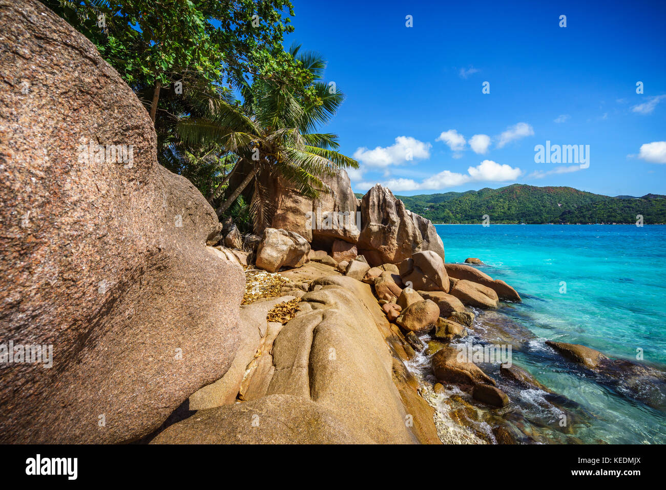 Little island St Pierre on the seychelles Stock Photo - Alamy