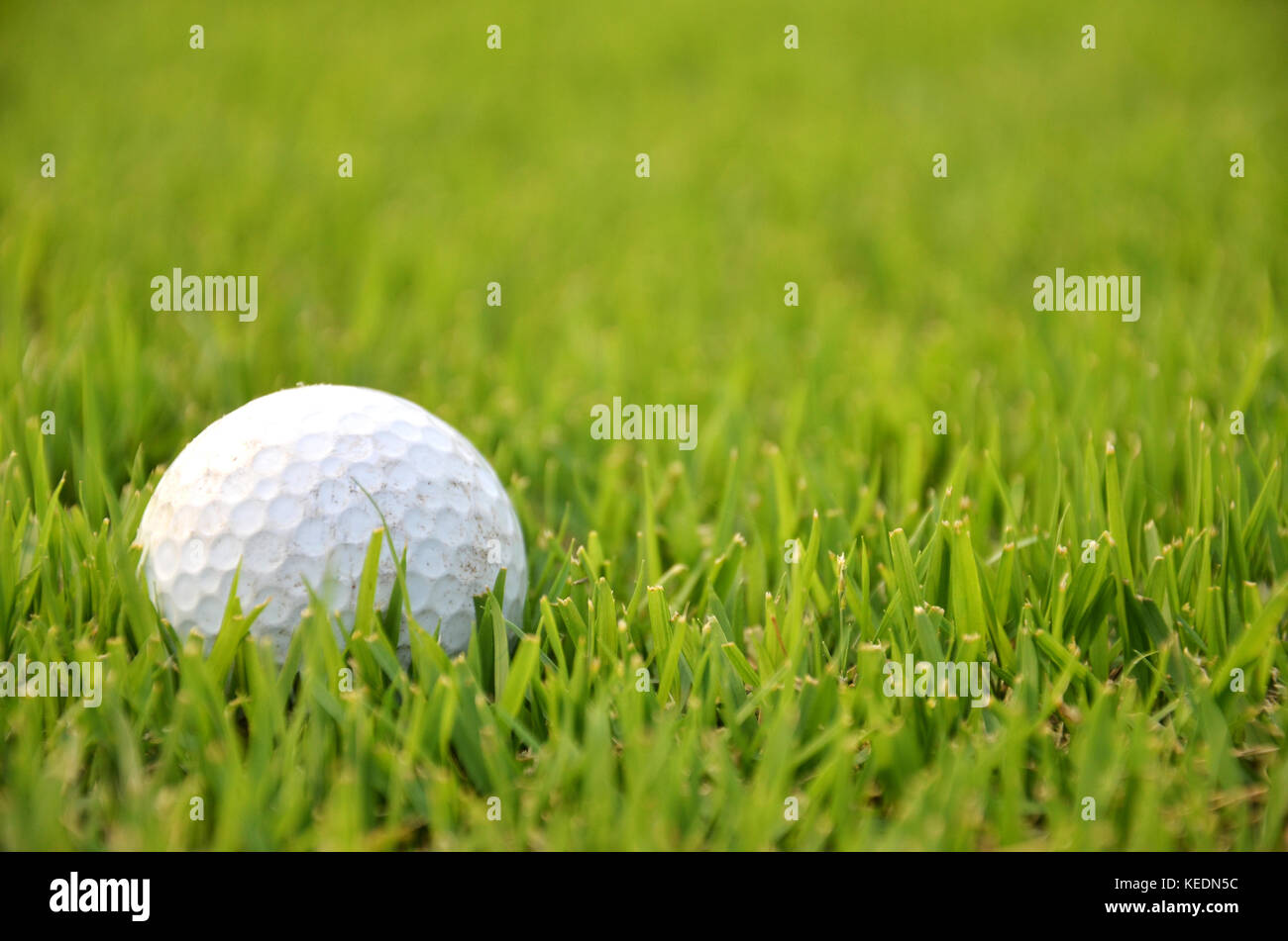 Dirty golf ball on the grass with green background Stock Photo - Alamy