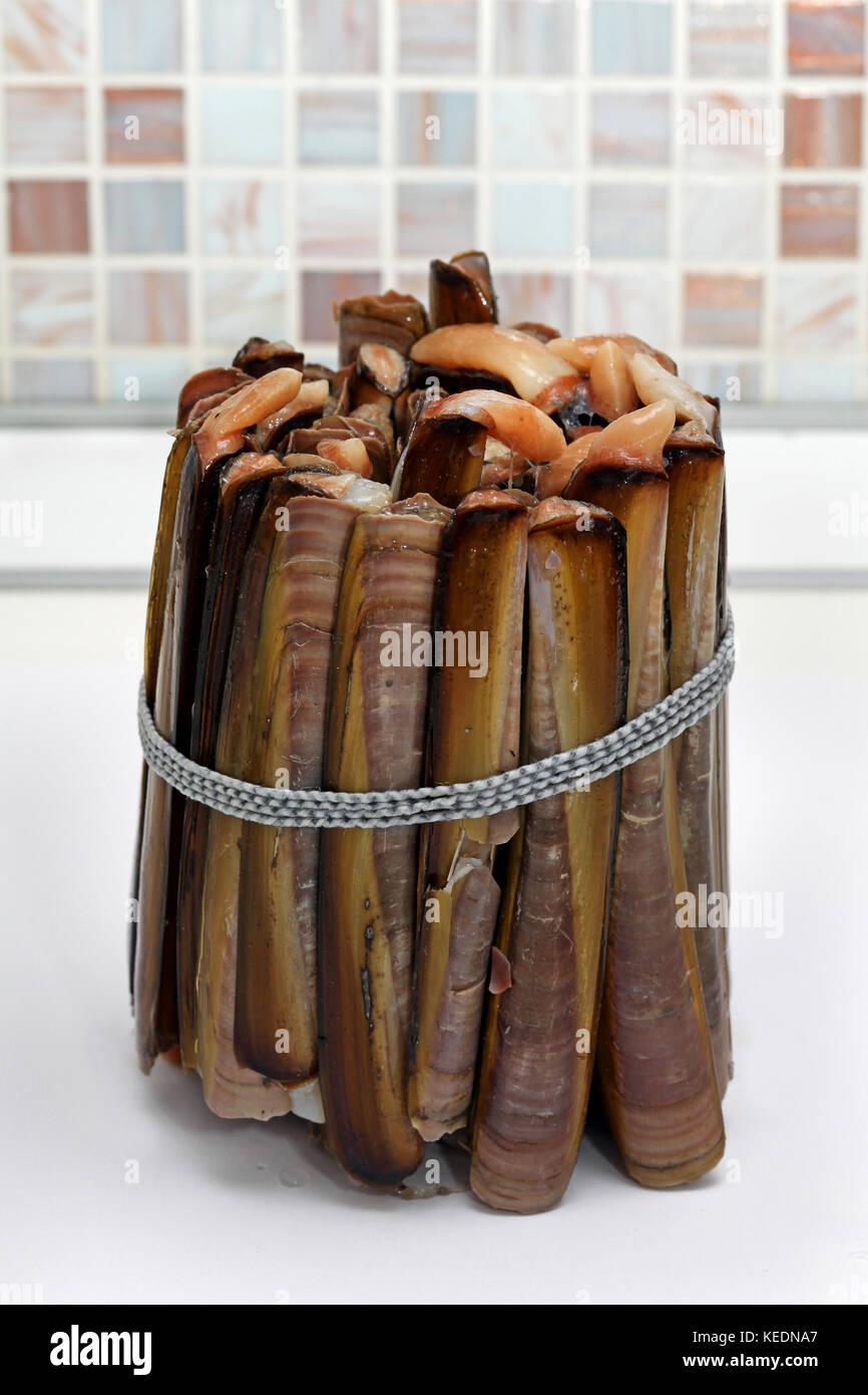 Tied bundle of fresh raw razor clams Stock Photo - Alamy