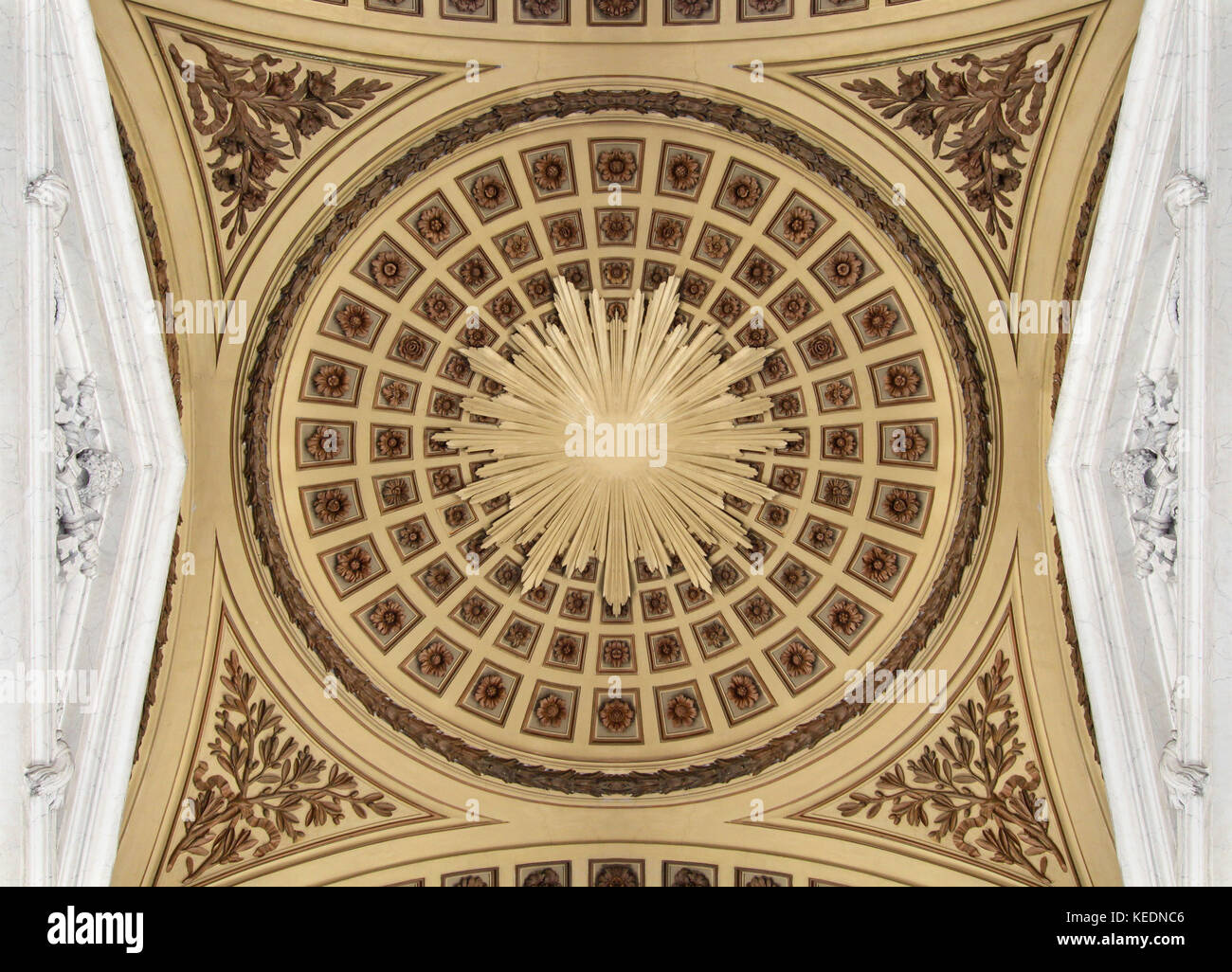 Abstract vintage circle background with floral ornaments Stock Photo ...