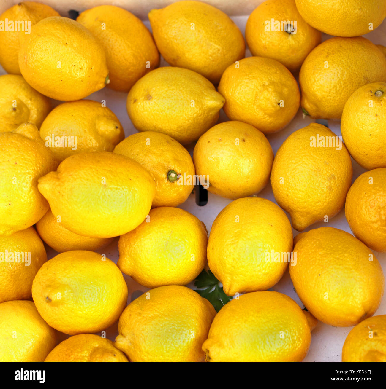 Fresh yellow lemons pile sold on market Stock Photo - Alamy