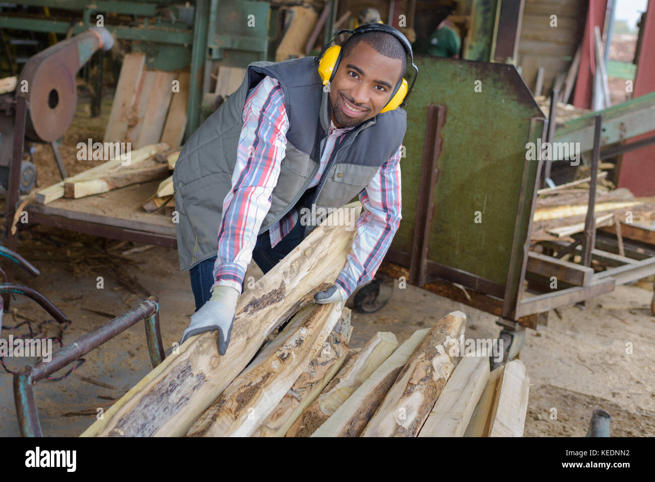 sorting the logs Stock Photo - Alamy