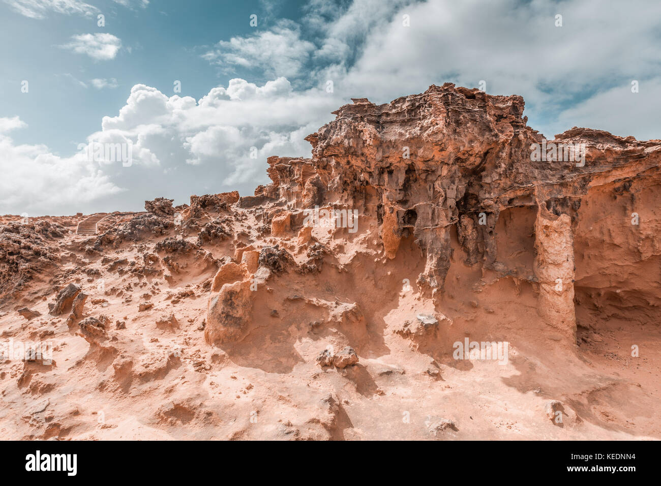 Petrified forest - unique rock formations in Cape Bridgewater, Victoria ...