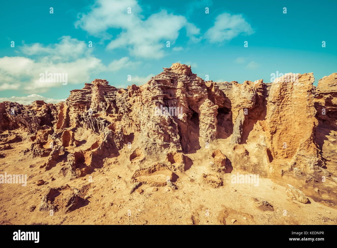 Petrified forest rock formations in Cape Bridgewater, Victoria ...