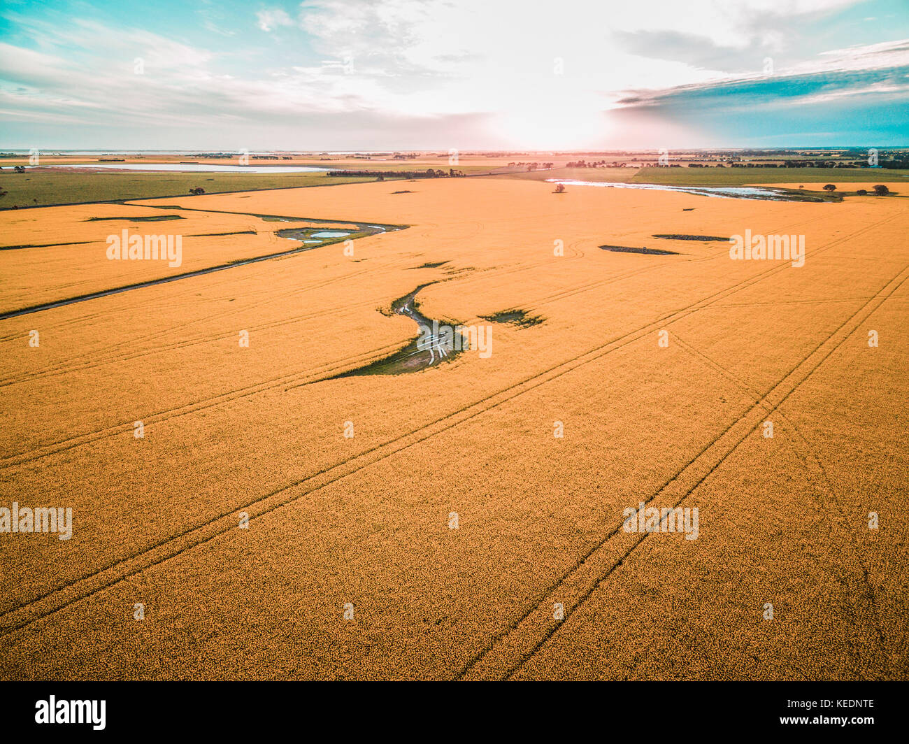 Vegetable crop field sunset hi-res stock photography and images - Alamy