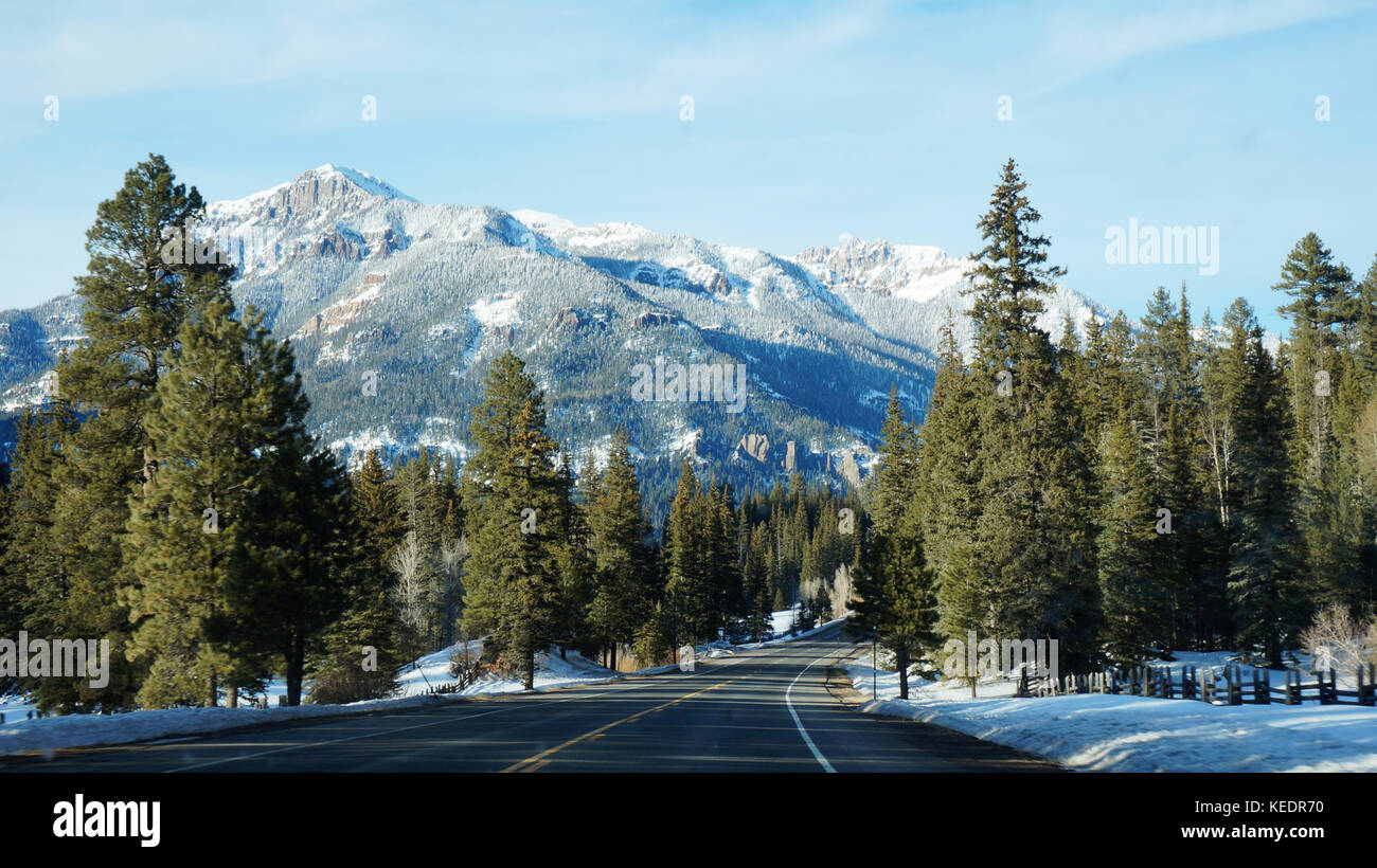 Road with pikes tree in the winter Stock Photo - Alamy
