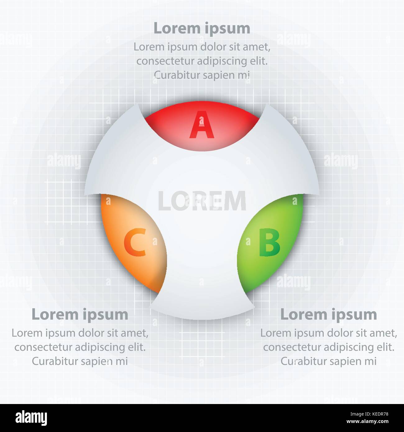 Colorful circle three topics in 3d white circle for website ...