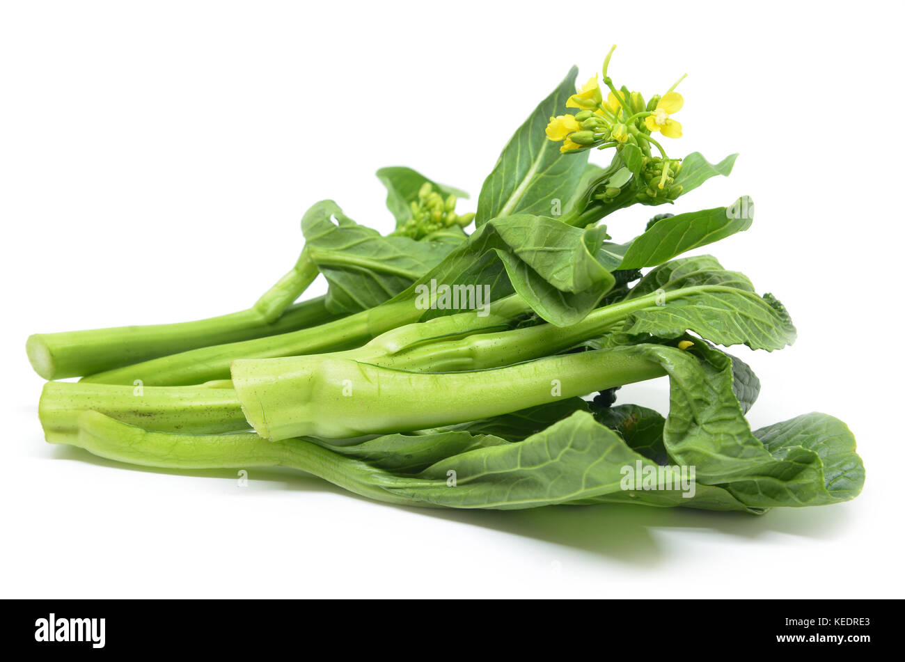 Bunch of floral choy sum green vegetable popular among the Chinese ...