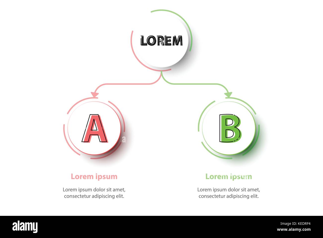 Two topics Colorful 3d circles in organize chart on white background ...
