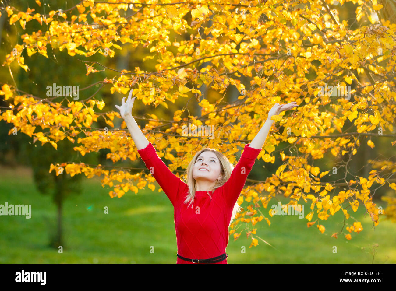 Beautiful Woman with Autumn Leaves on Fall Nature Background Stock ...