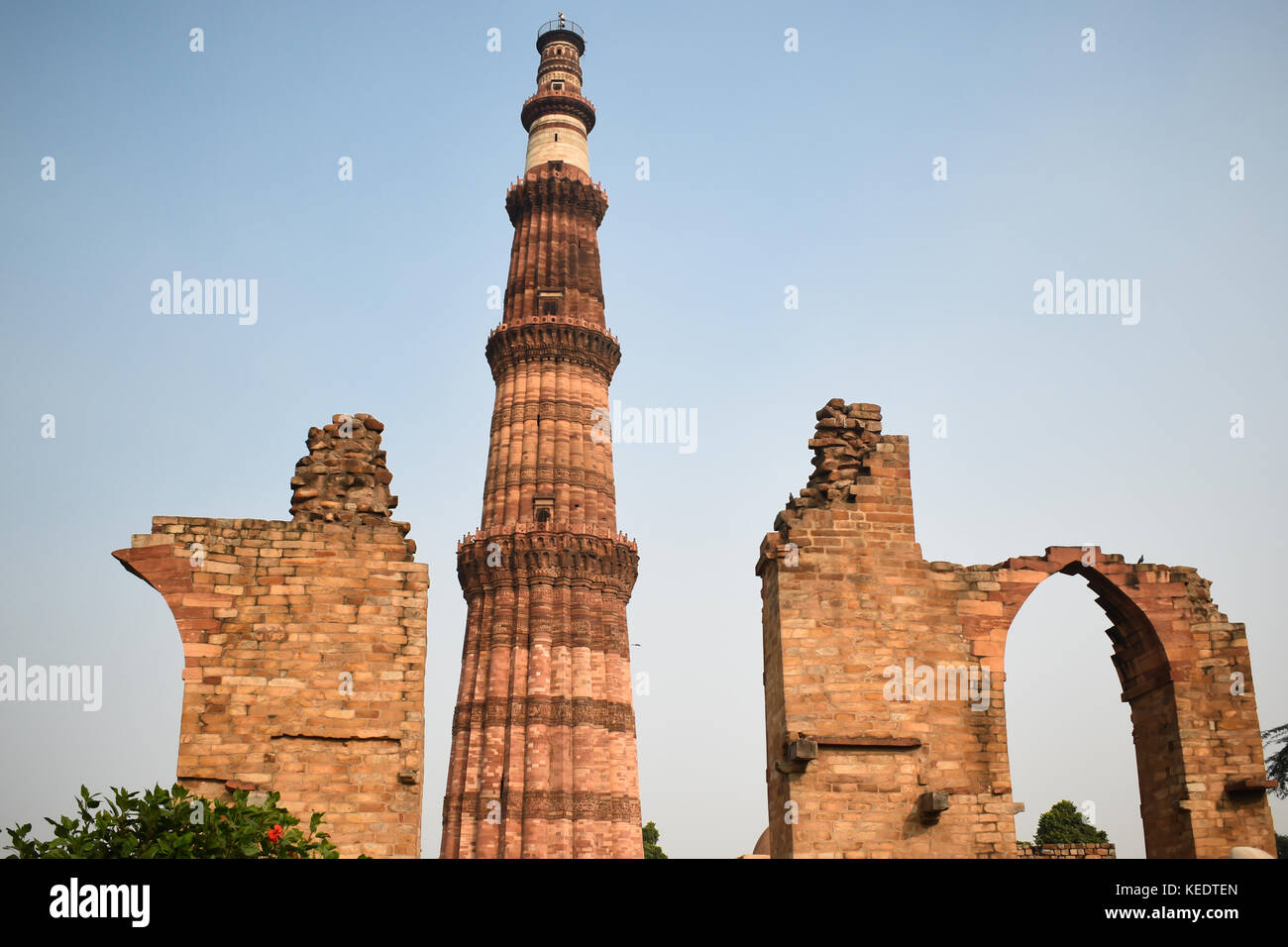 Qutub minar tree hi-res stock photography and images - Alamy