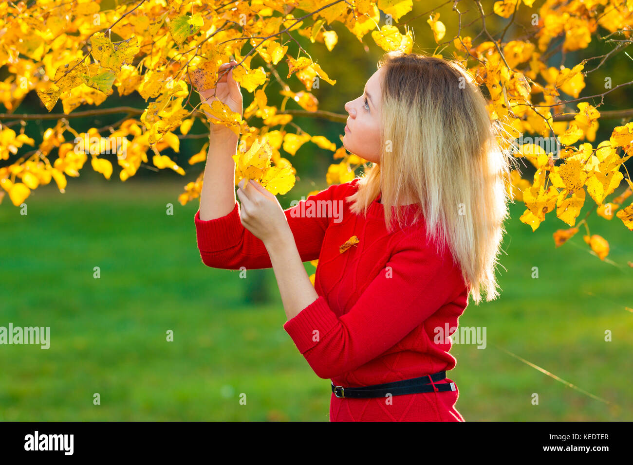 Beautiful Woman with Autumn Leaves on Fall Nature Background Stock ...