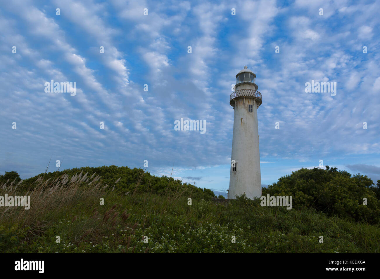 Shell lighthouse hi-res stock photography and images - Alamy