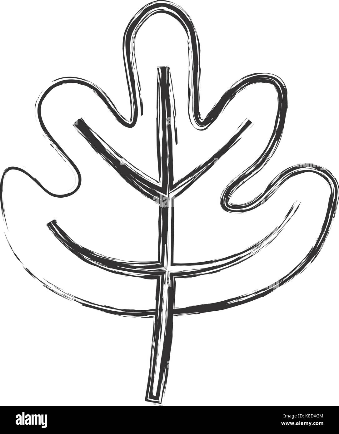 leaf icon image Stock Vector Image & Art - Alamy