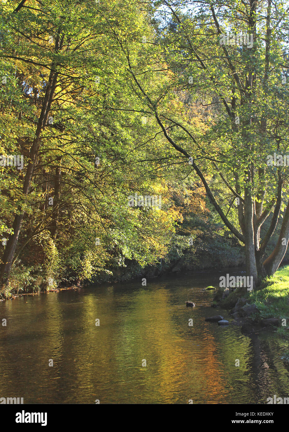Beautiful autumn colours reflected on the River Ourthe in the Belgian ...