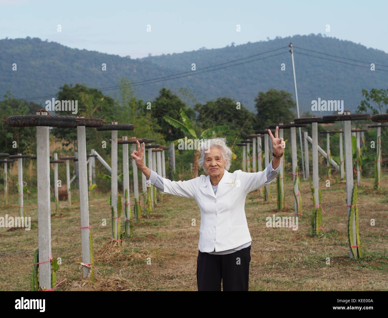 Healthy Asian senior woman enjoying her day outdoors Stock Photo - Alamy