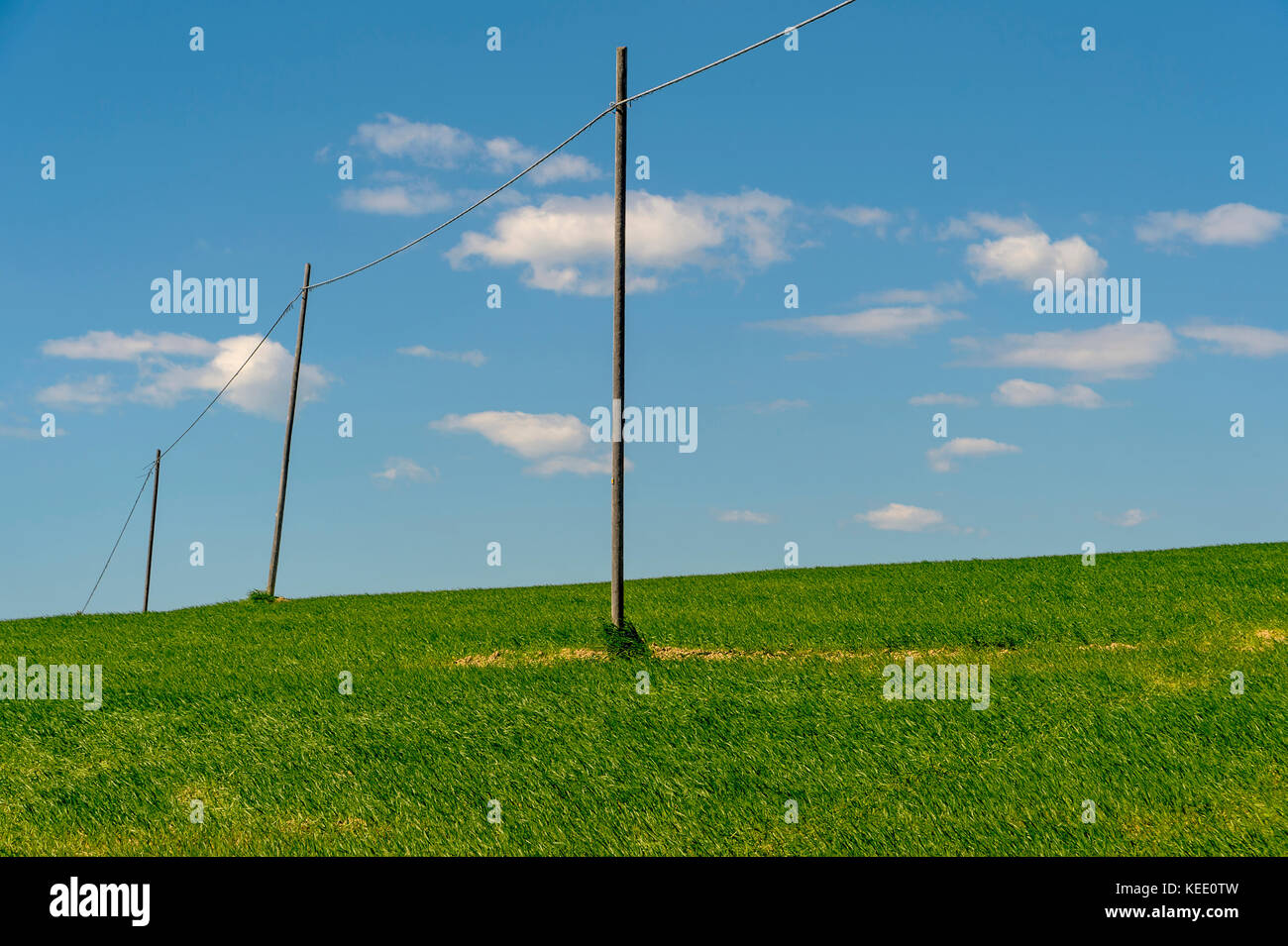 Italy Tuscany Orciano Pisano Province of Pisa Stock Photo - Alamy