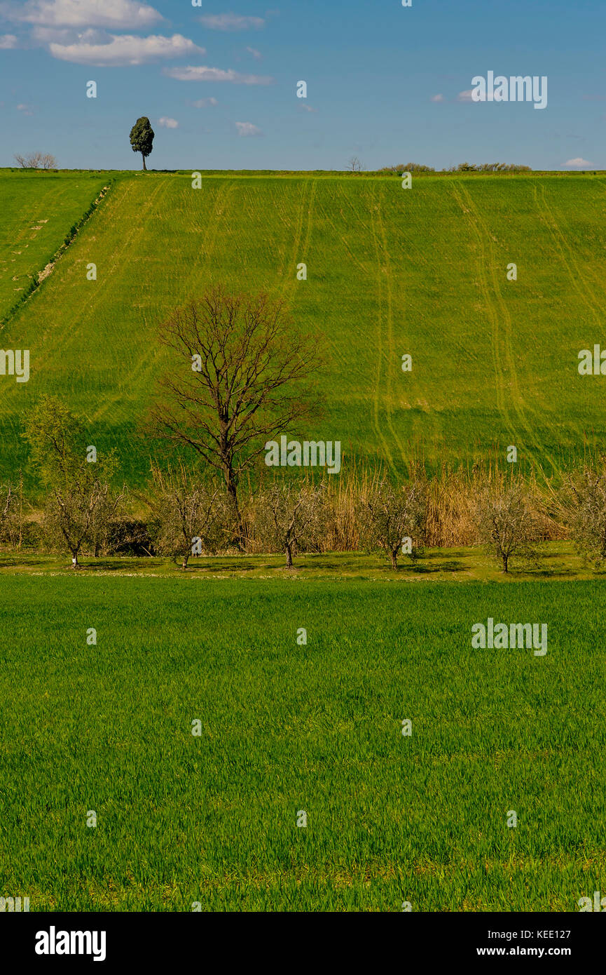 Italy Tuscany Orciano Pisano Province of Pisa Stock Photo - Alamy