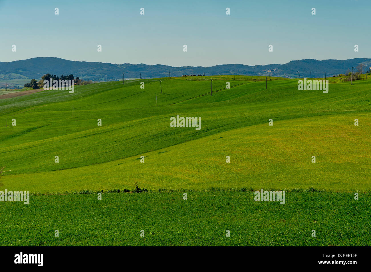 Italy Tuscany Orciano Pisano Province of Pisa Stock Photo - Alamy