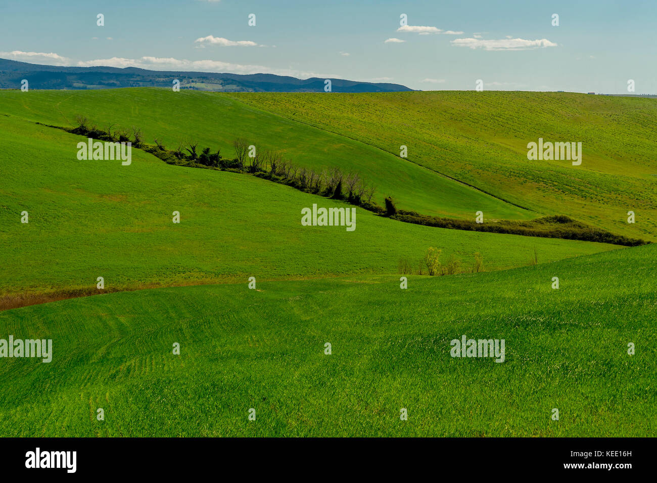 Italy Tuscany Orciano Pisano Province of Pisa Stock Photo - Alamy
